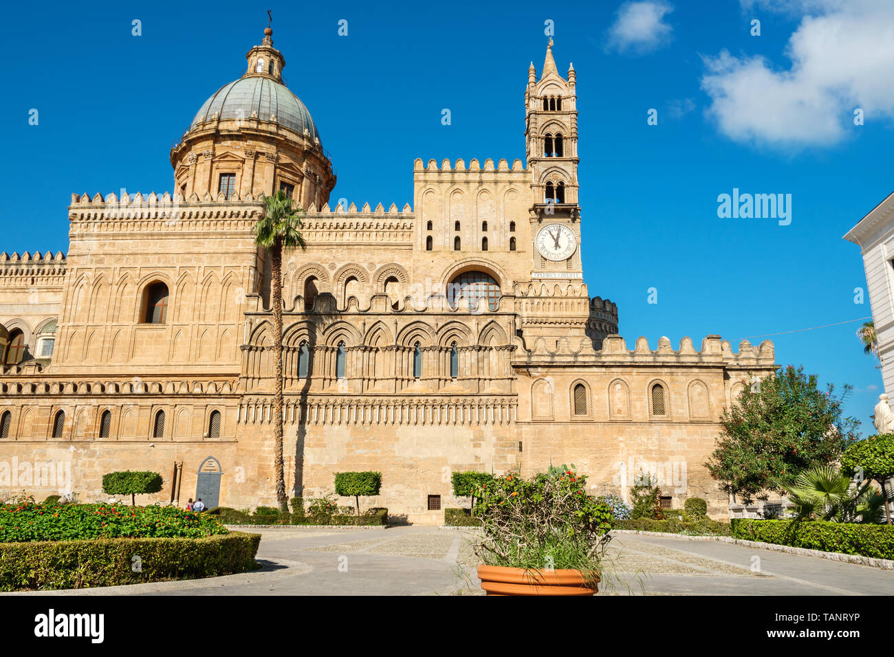 Front view of Palermo Cathedral (Duomo di Palermo). Palermo, Sicily ...