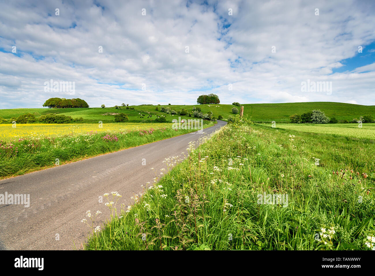 Near swindon hi-res stock photography and images - Alamy