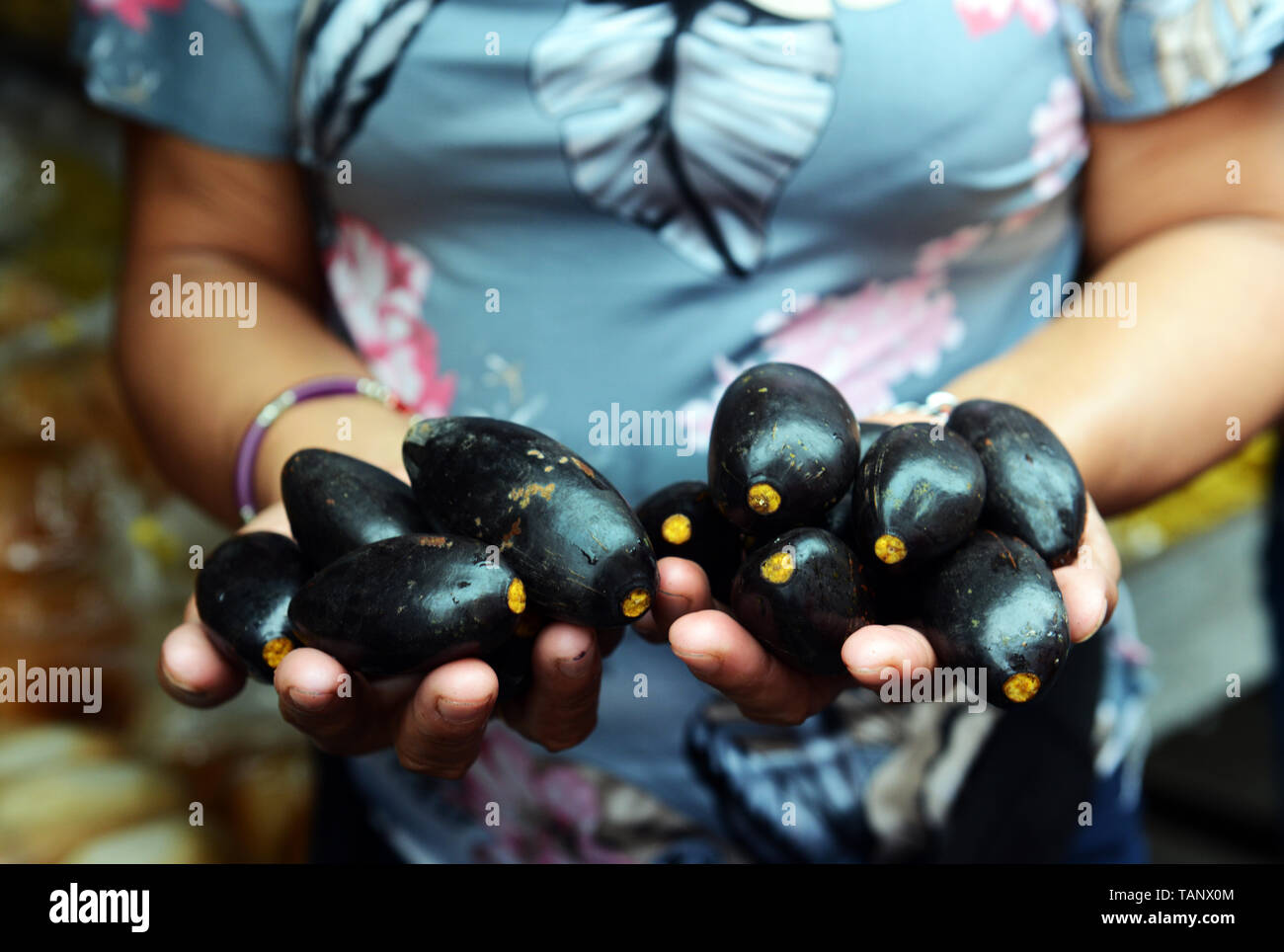 Pili fruits sold at the Sorsogon market in Bicol, Philippines Stock ...