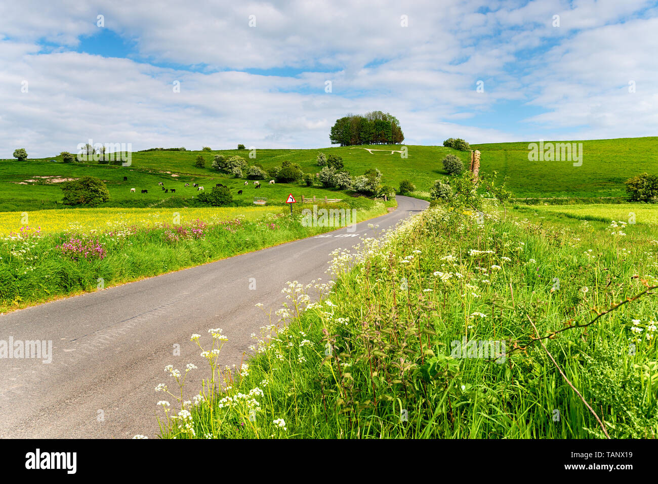 English Country Lane High Resolution Stock Photography and Images - Alamy