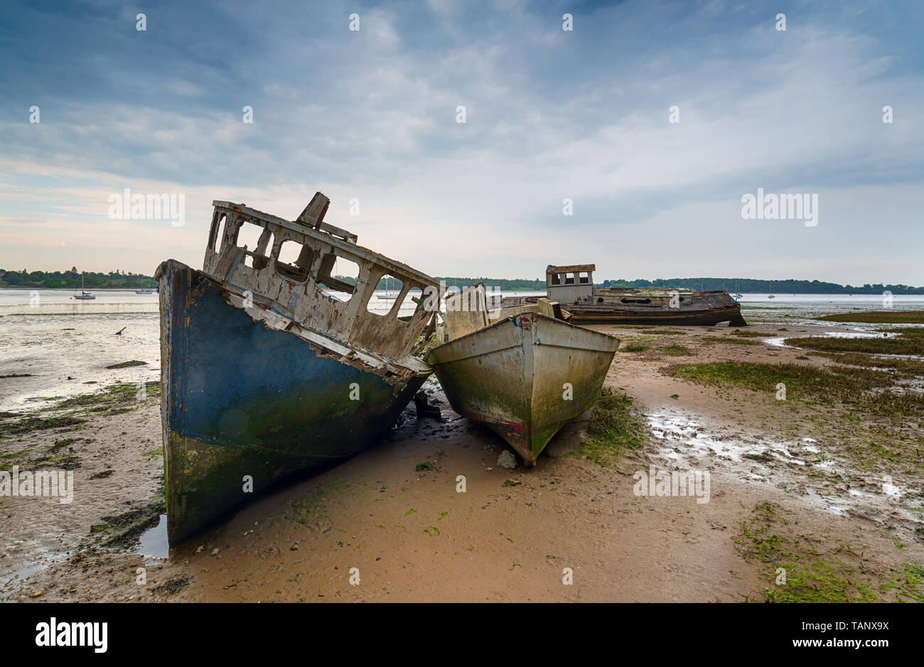 Old wrecked boats on the River Orwell at Pin Mill near Ipswich on the ...