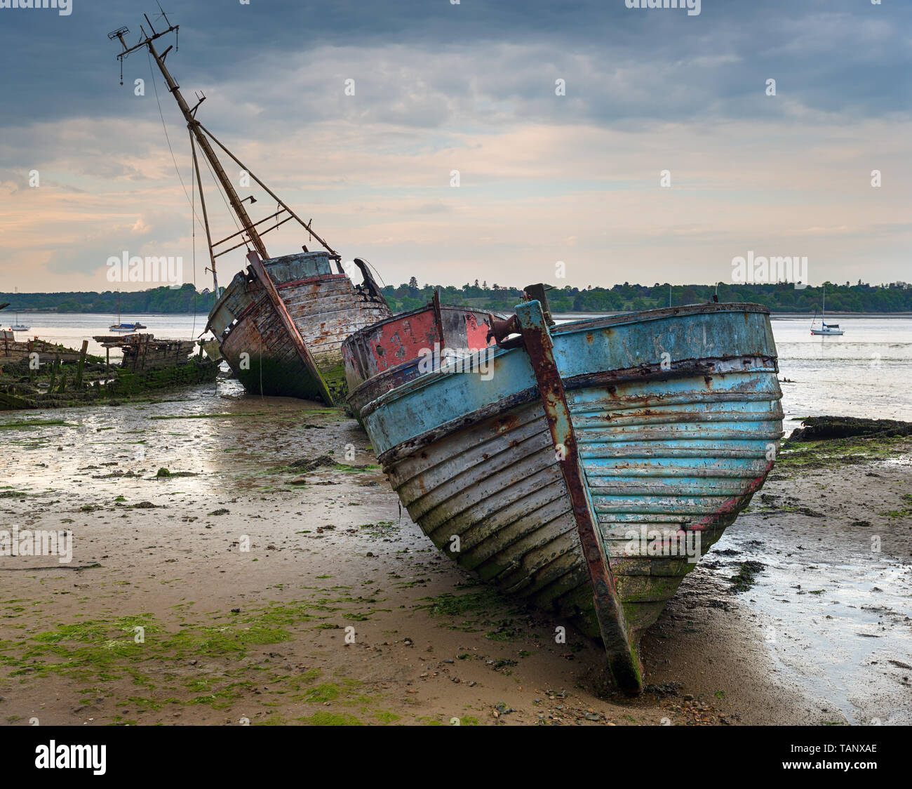 Old abandoned fishing boats at Pin Mill on the banks of the River ...