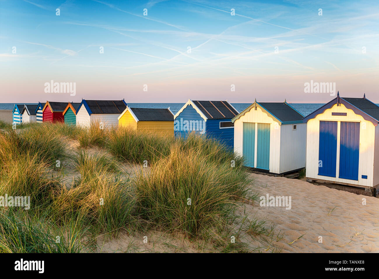 Suffolk Pink High Resolution Stock Photography and Images - Alamy