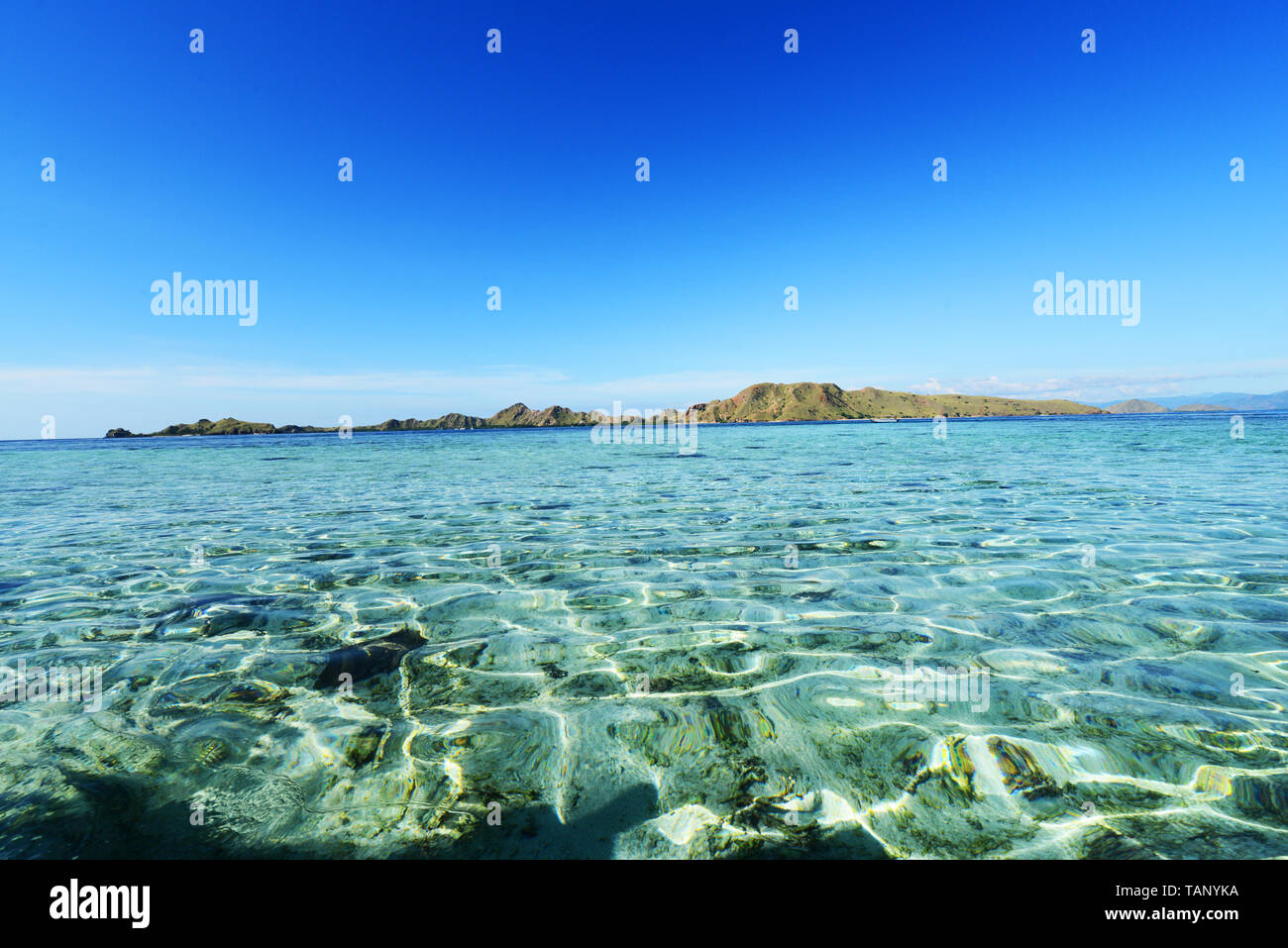 The beautiful sea at Komodo national park in Indonesia Stock Photo - Alamy