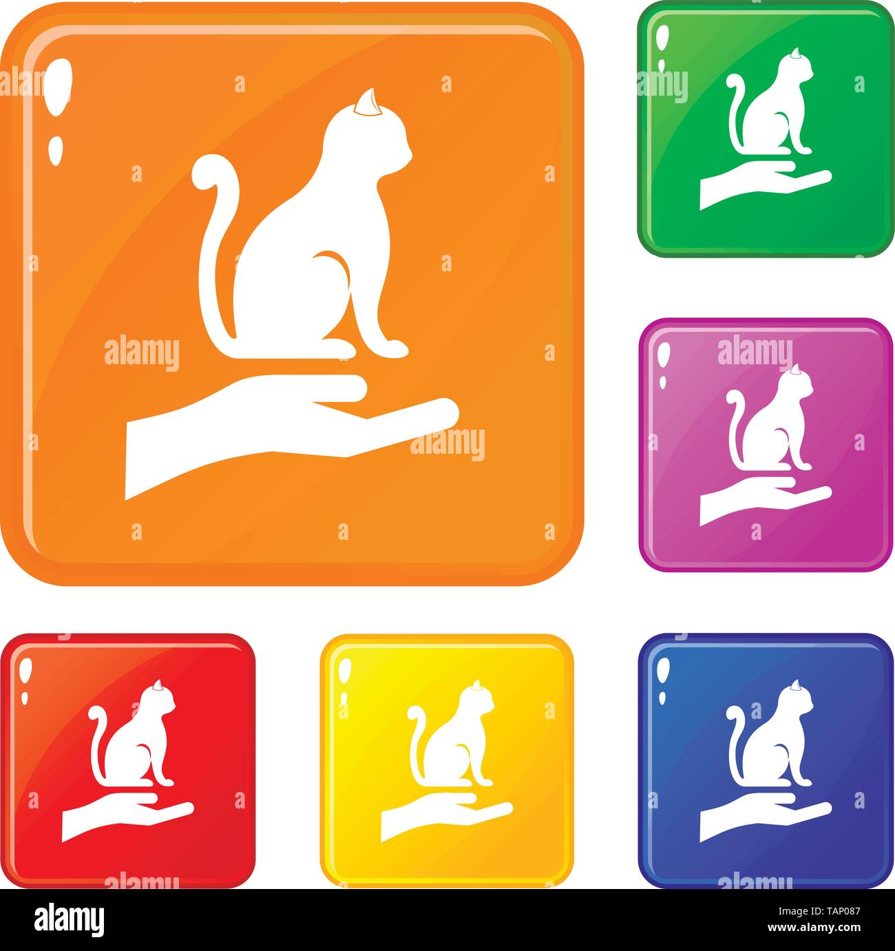 Hand holding a cat icons set vector color Stock Vector Image & Art - Alamy