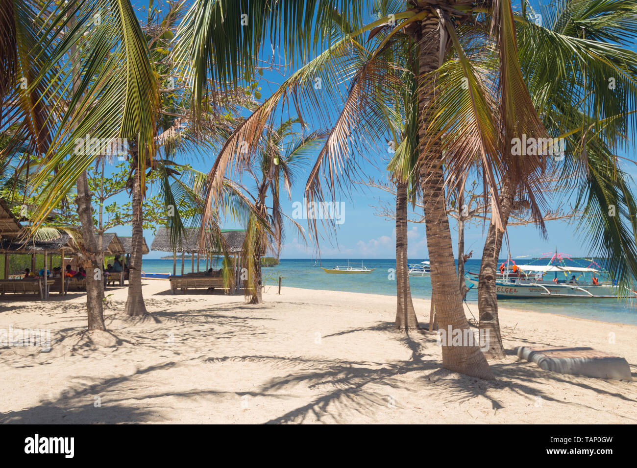 Sunny beach with palms on Luli Island, Honda bay, Palawan, Philippines ...