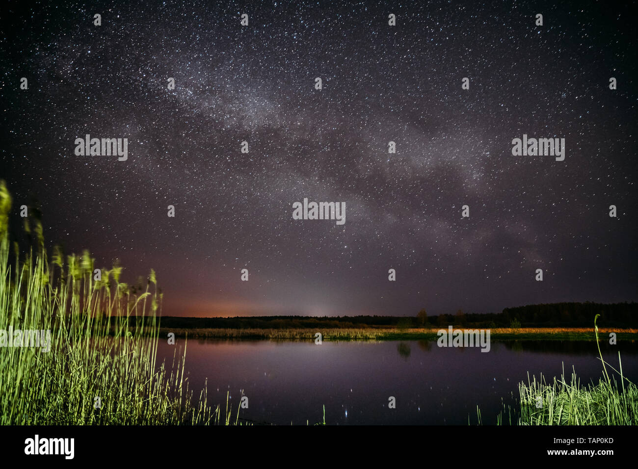 Starry night river park hi-res stock photography and images - Alamy