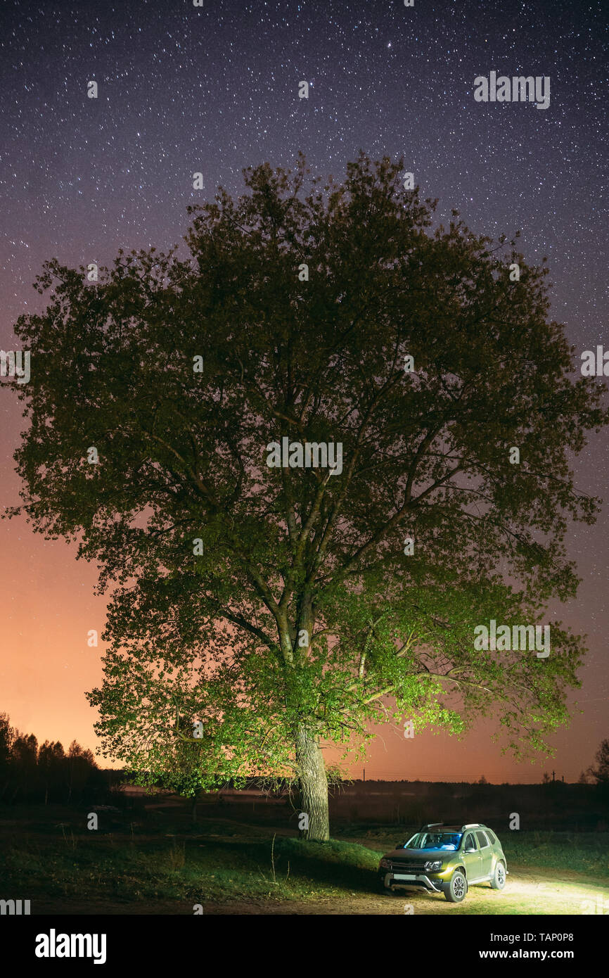 Night Starry Sky Above Car SUV Parked Near Lonely Tree in Night Forest ...