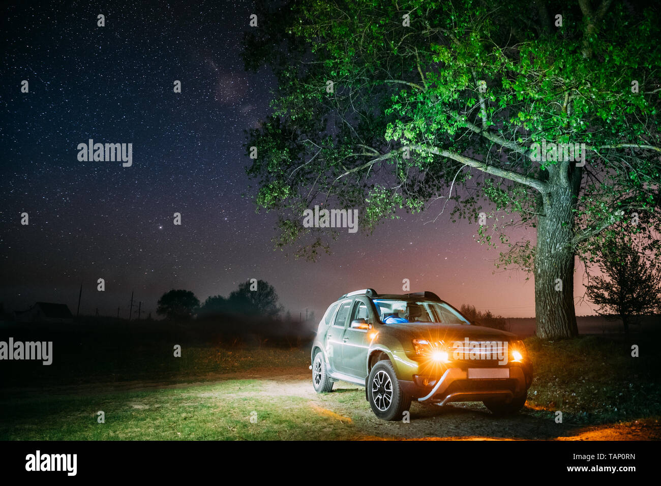 Night Starry Sky Above Car SUV Parked Near Lonely Tree in Night Forest ...