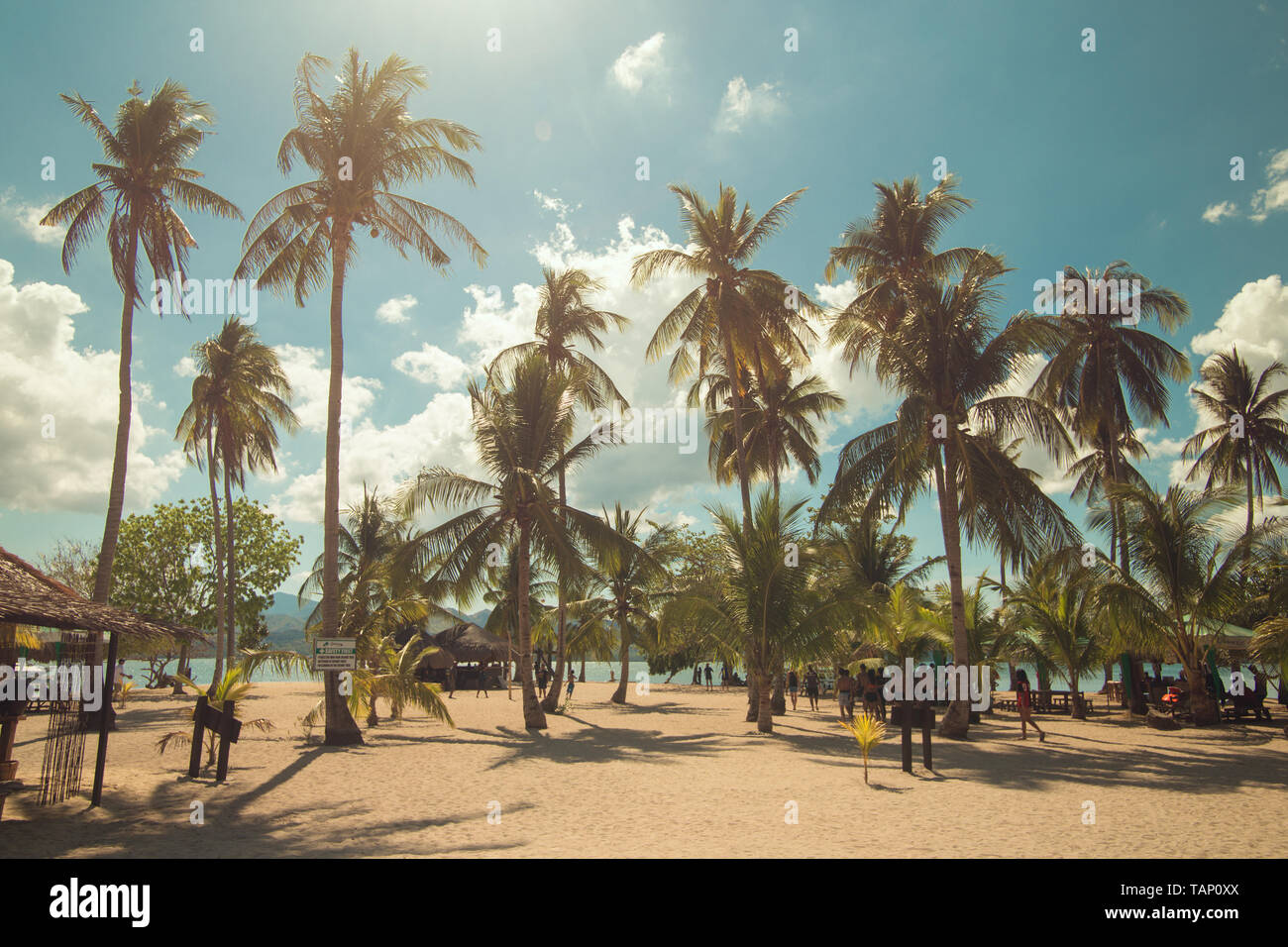 Sunny beach with palms on Luli Island, Honda bay, Palawan, Philippines ...