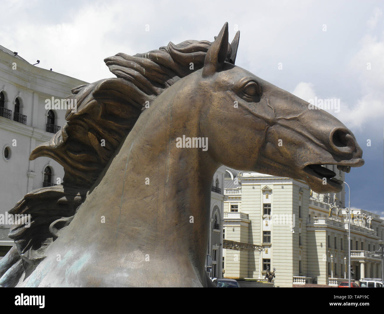Sculptures of horses in Skopje,N Macedonia Stock Photo - Alamy