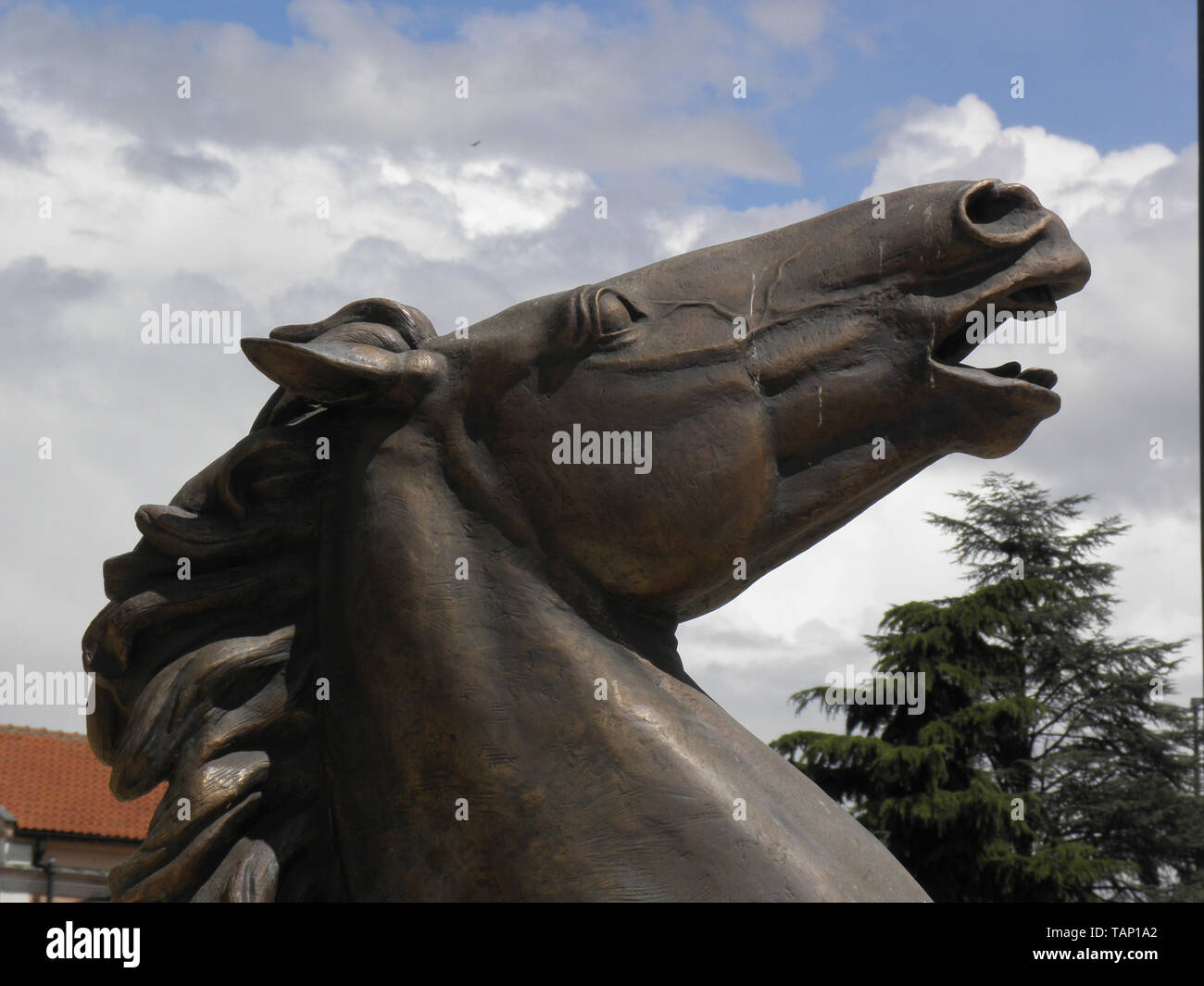 Sculptures of horses in Skopje,N Macedonia Stock Photo - Alamy