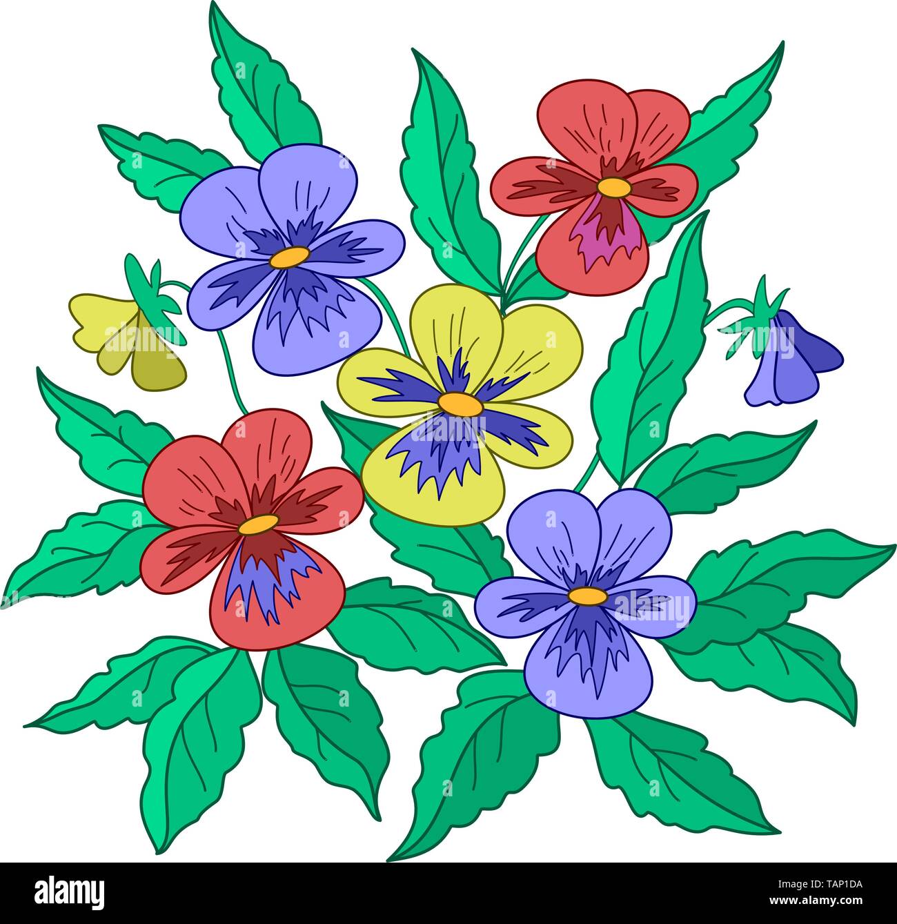 Viola pansy pansies flower Stock Vector Images - Alamy