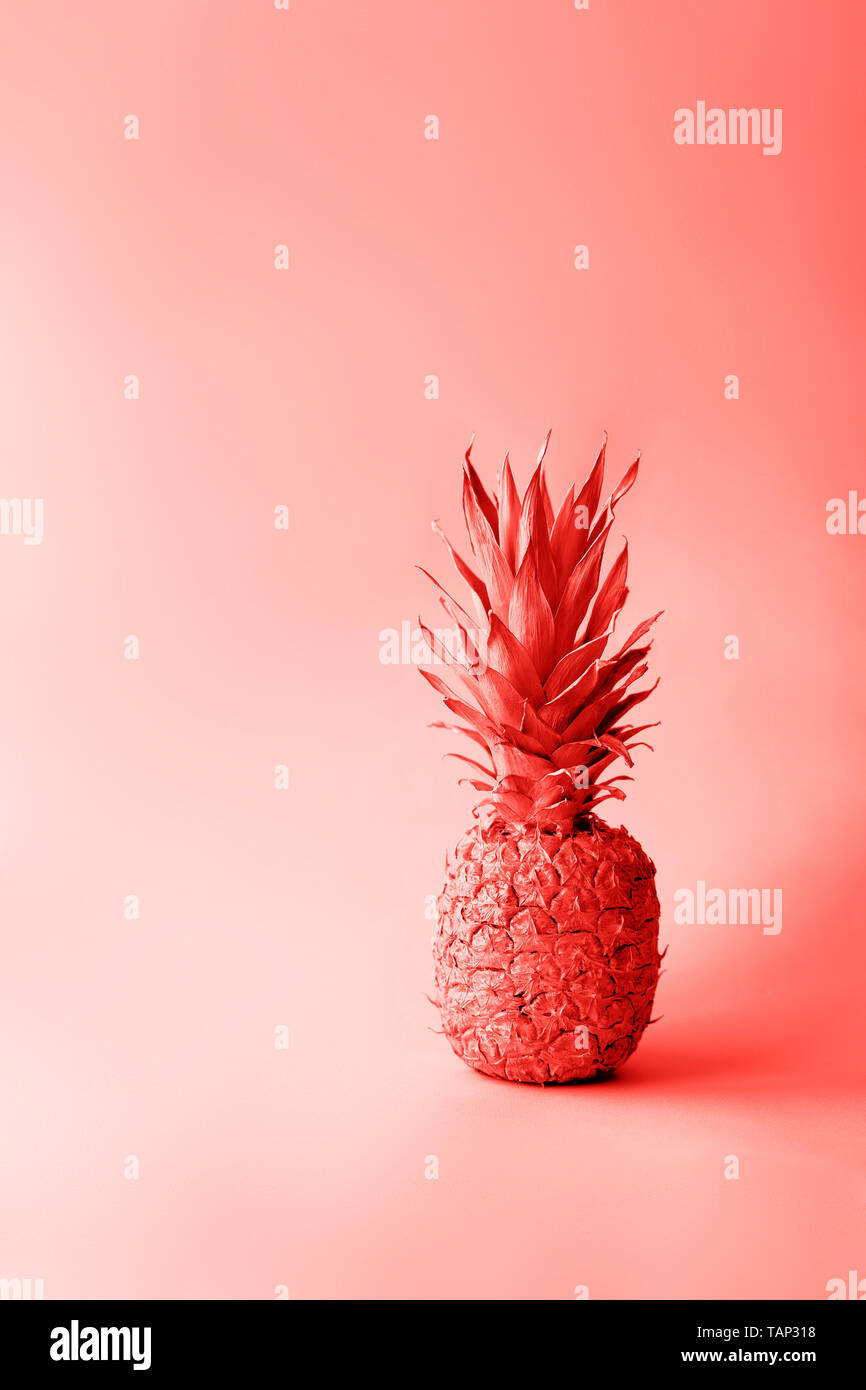 Toned image in coral color, pineapple on a minimalist background ...
