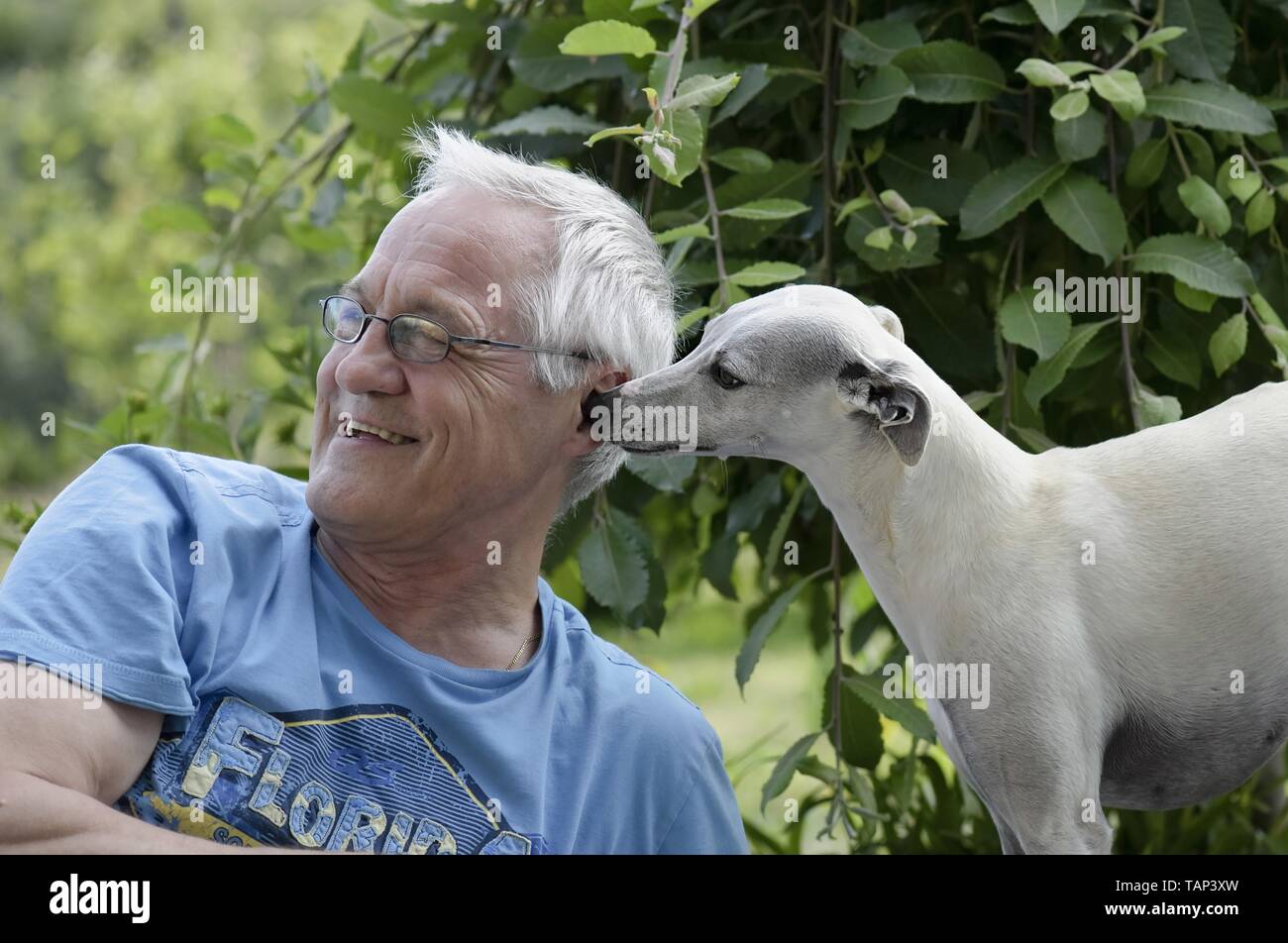 Man with whippet hi-res stock photography and images - Alamy