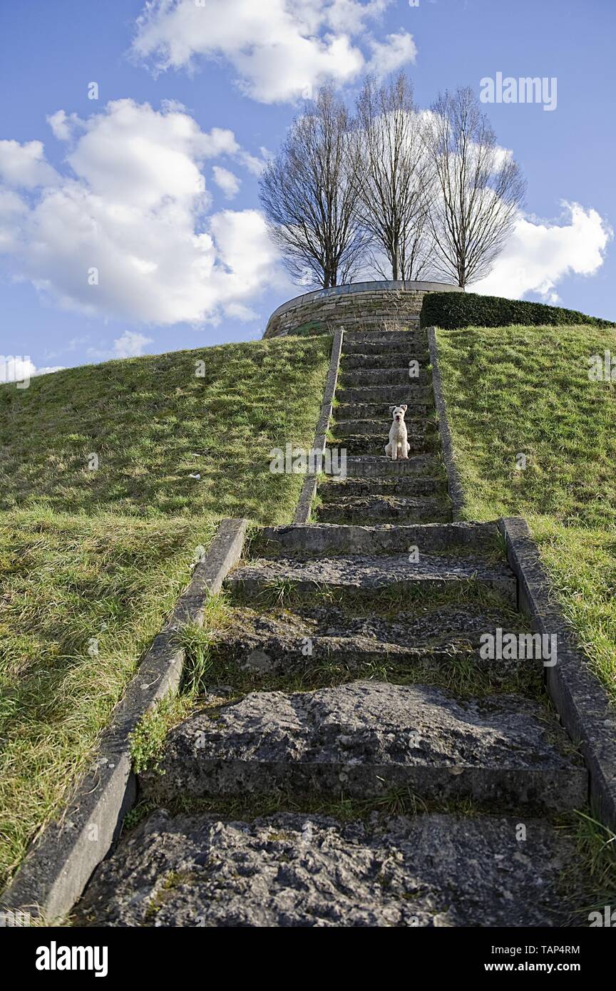 Curling stairs hi-res stock photography and images - Alamy