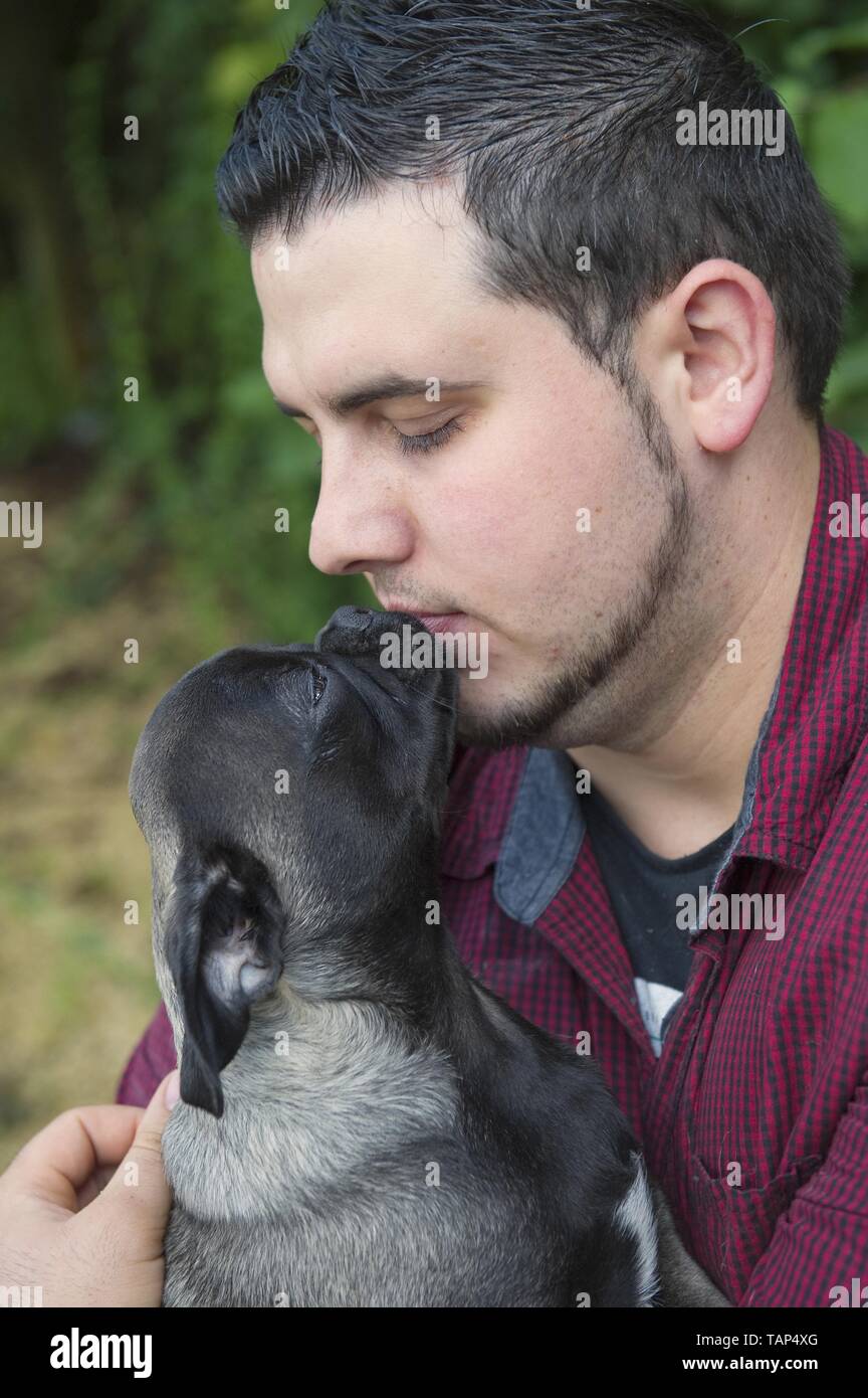 man and pug Stock Photo - Alamy