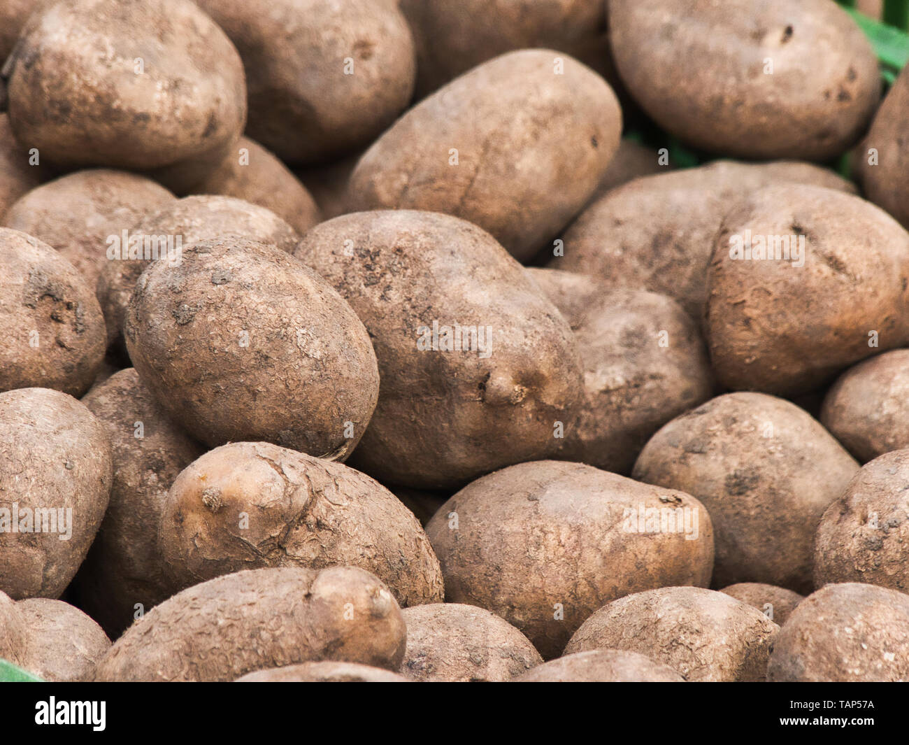 Potato boxes hi-res stock photography and images - Alamy