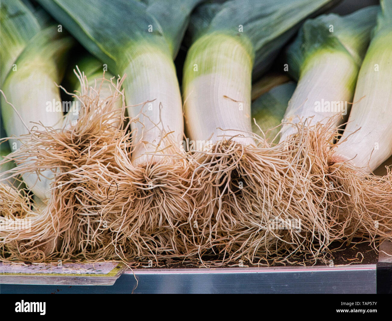 Leek market hi-res stock photography and images - Alamy