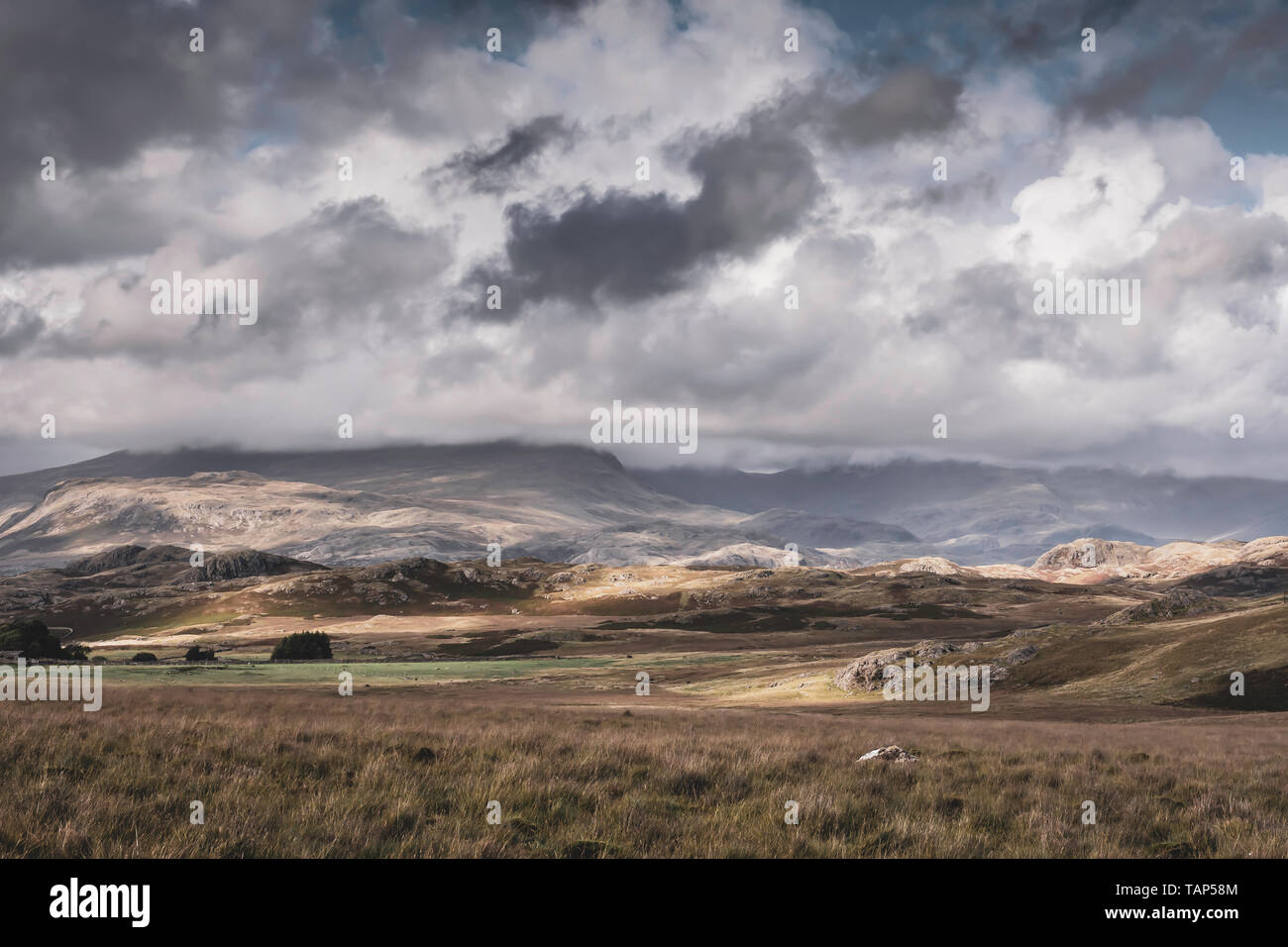 Sunlight patches hi-res stock photography and images - Alamy