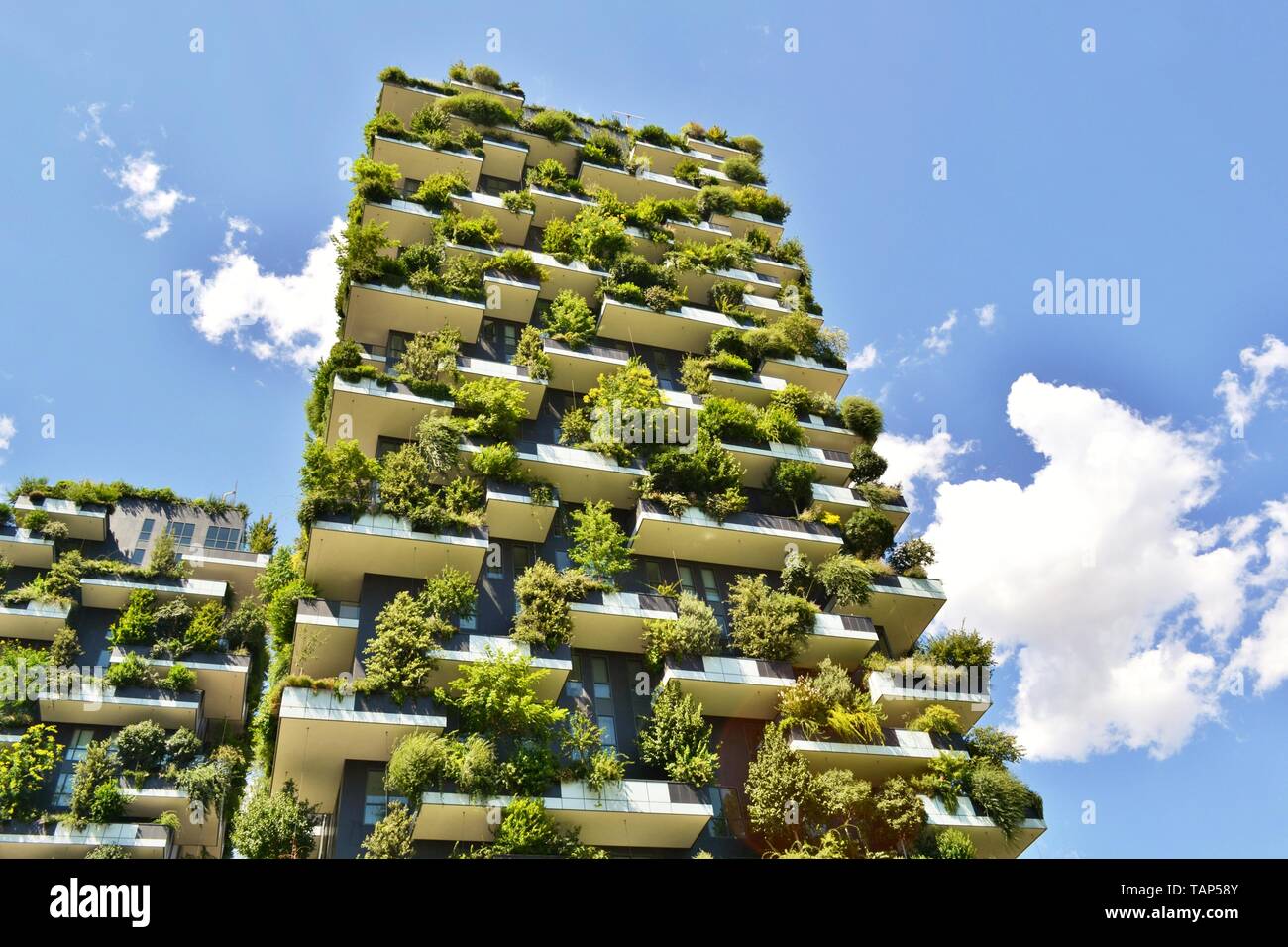 Milan vertical garden hi-res stock photography and images - Alamy