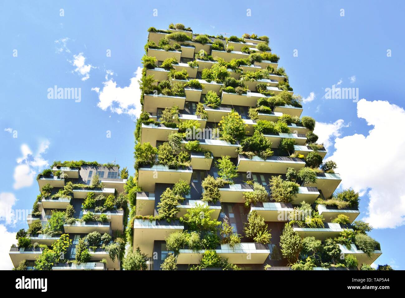 Two residential towers with trees and bushes on large balconies called ...