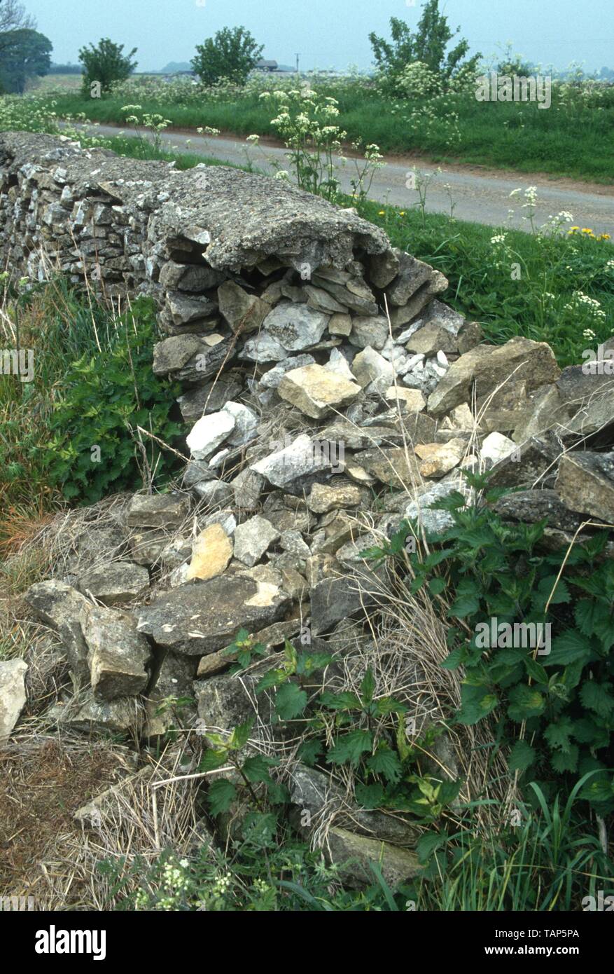 Damaged stone wall, UK Stock Photo - Alamy