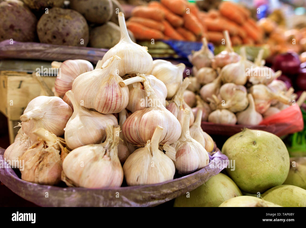 Domestic antibiotic hi-res stock photography and images - Alamy