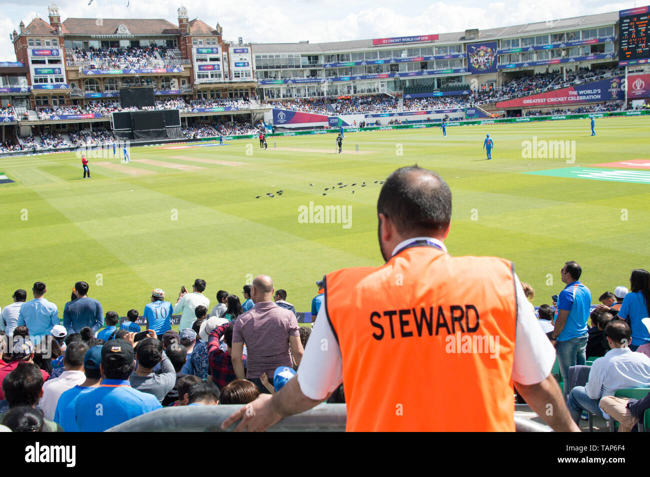 Steward in a Cricket stadium during a Cricket match Stock Photo - Alamy