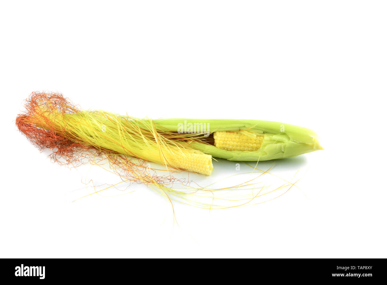Close up of young baby sweet corn ear in fresh corn cob isolated on ...