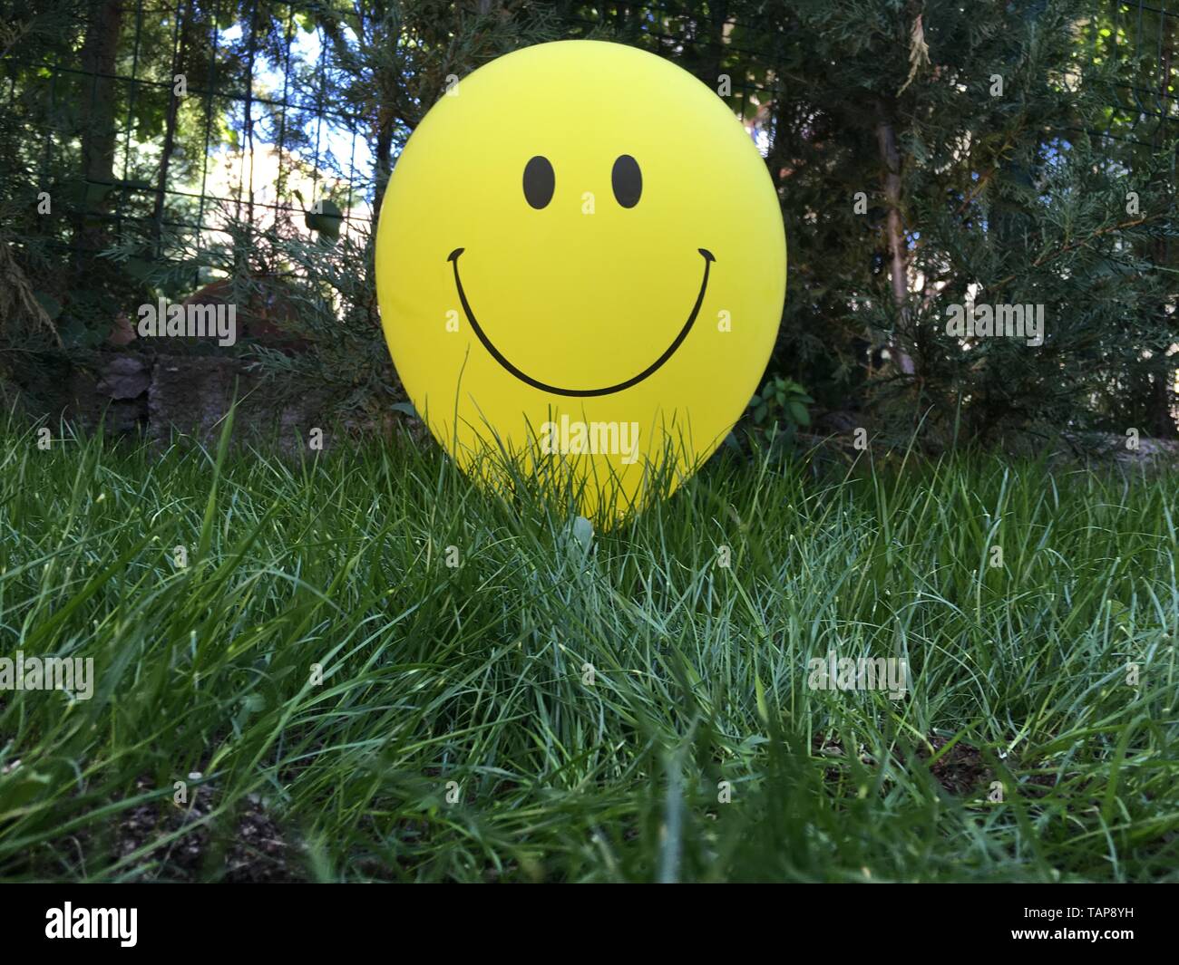 Happiness balloon on party Stock Photo - Alamy