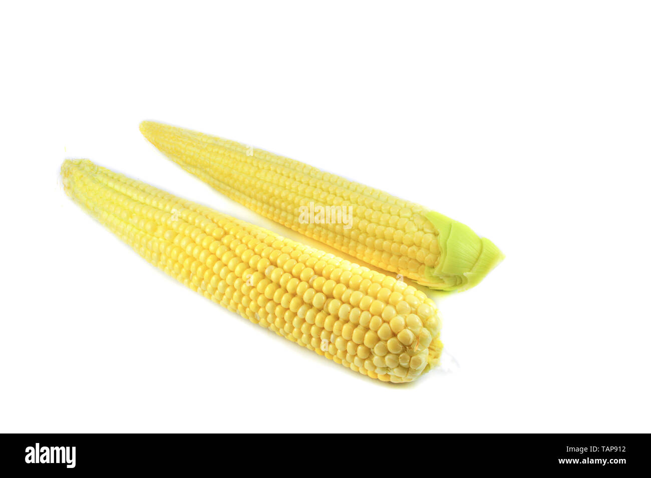 Close up of young baby sweet corn ear in fresh corn cob isolated on ...
