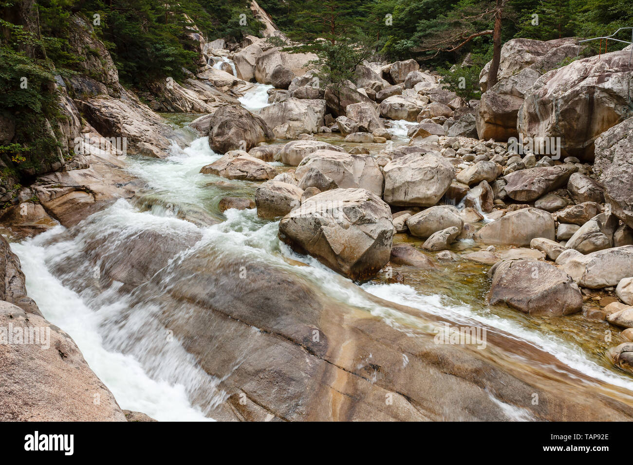 mountain river and forest, Mount Kumgang, Tourist Region, special ...