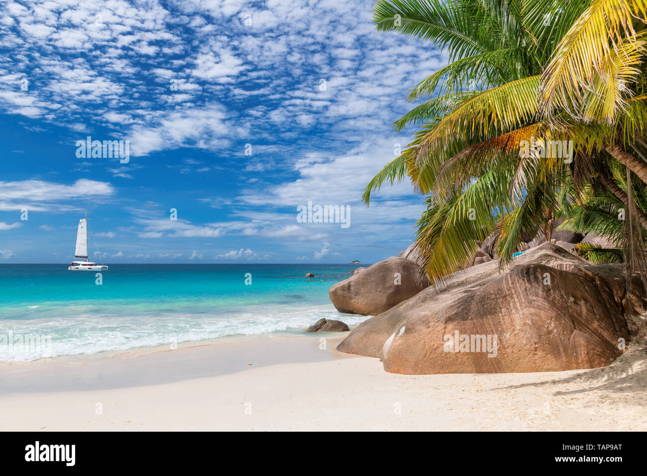 Sunny beach on Seychelles island Stock Photo - Alamy