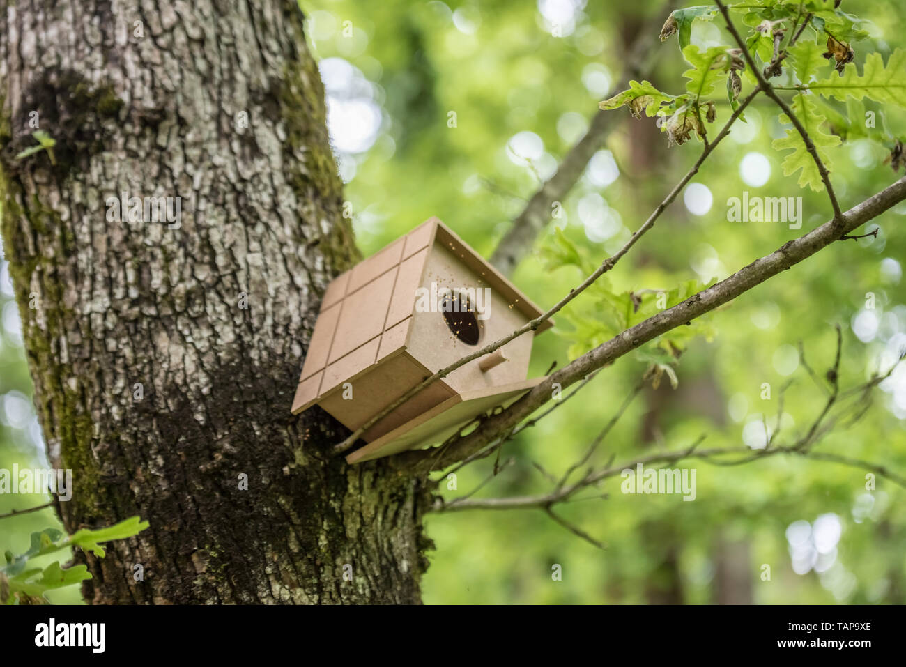 Handmade nest hi-res stock photography and images - Alamy