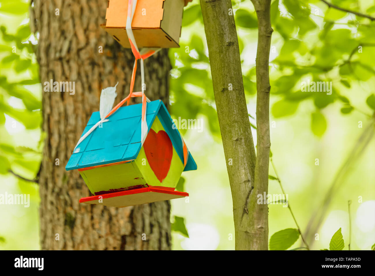 Manmade colorful nests hang on tree.Handmade wooden birdhouse on a tree ...