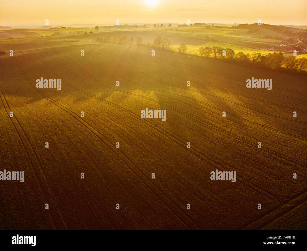 Aerial view of sunrise ofer green grain field Stock Photo - Alamy