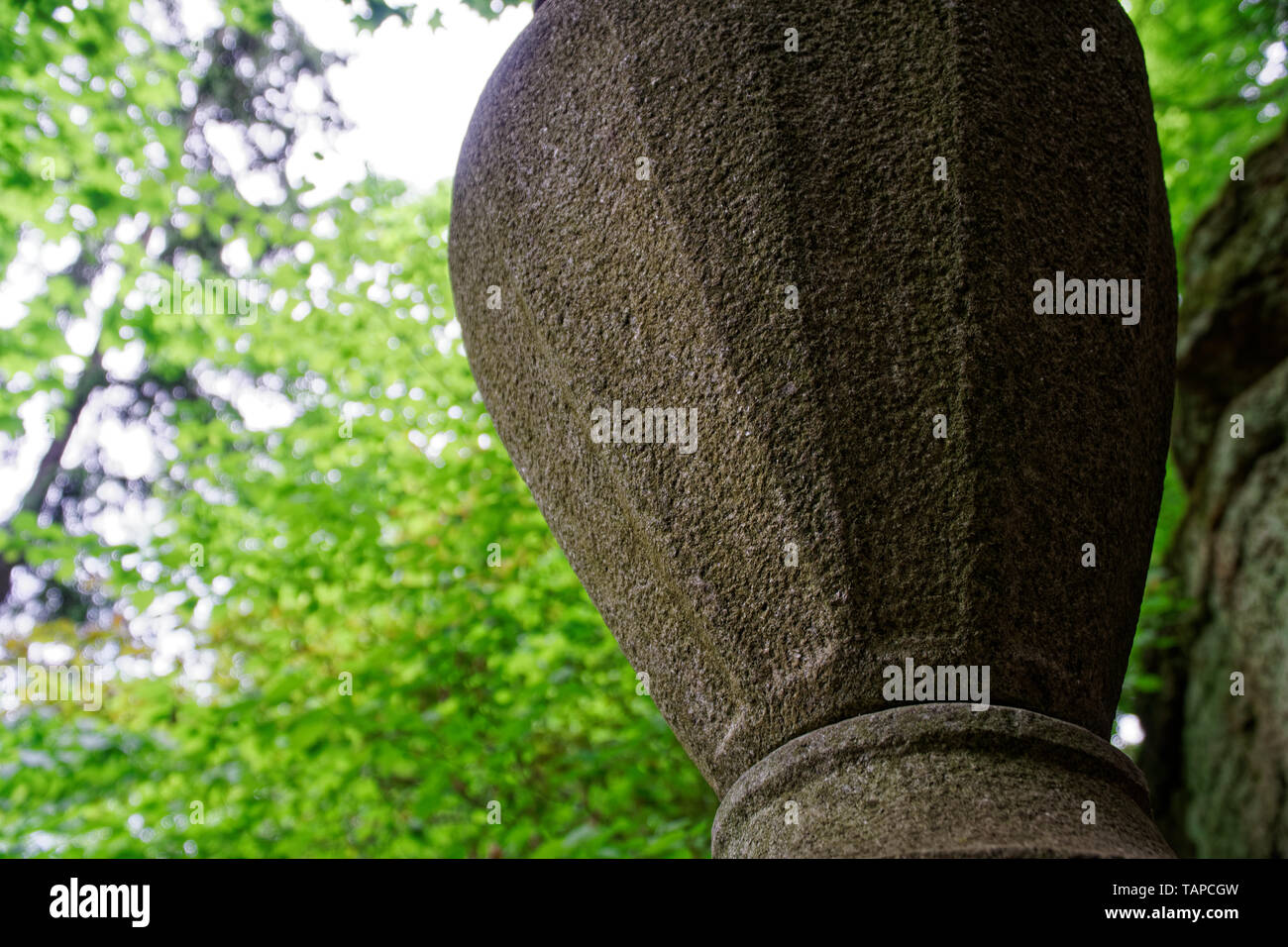 Botanical zen stone garden with water drops and rocks Stock Photo - Alamy