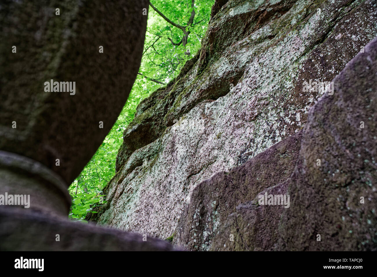 Botanical zen stone garden with water drops and rocks Stock Photo - Alamy
