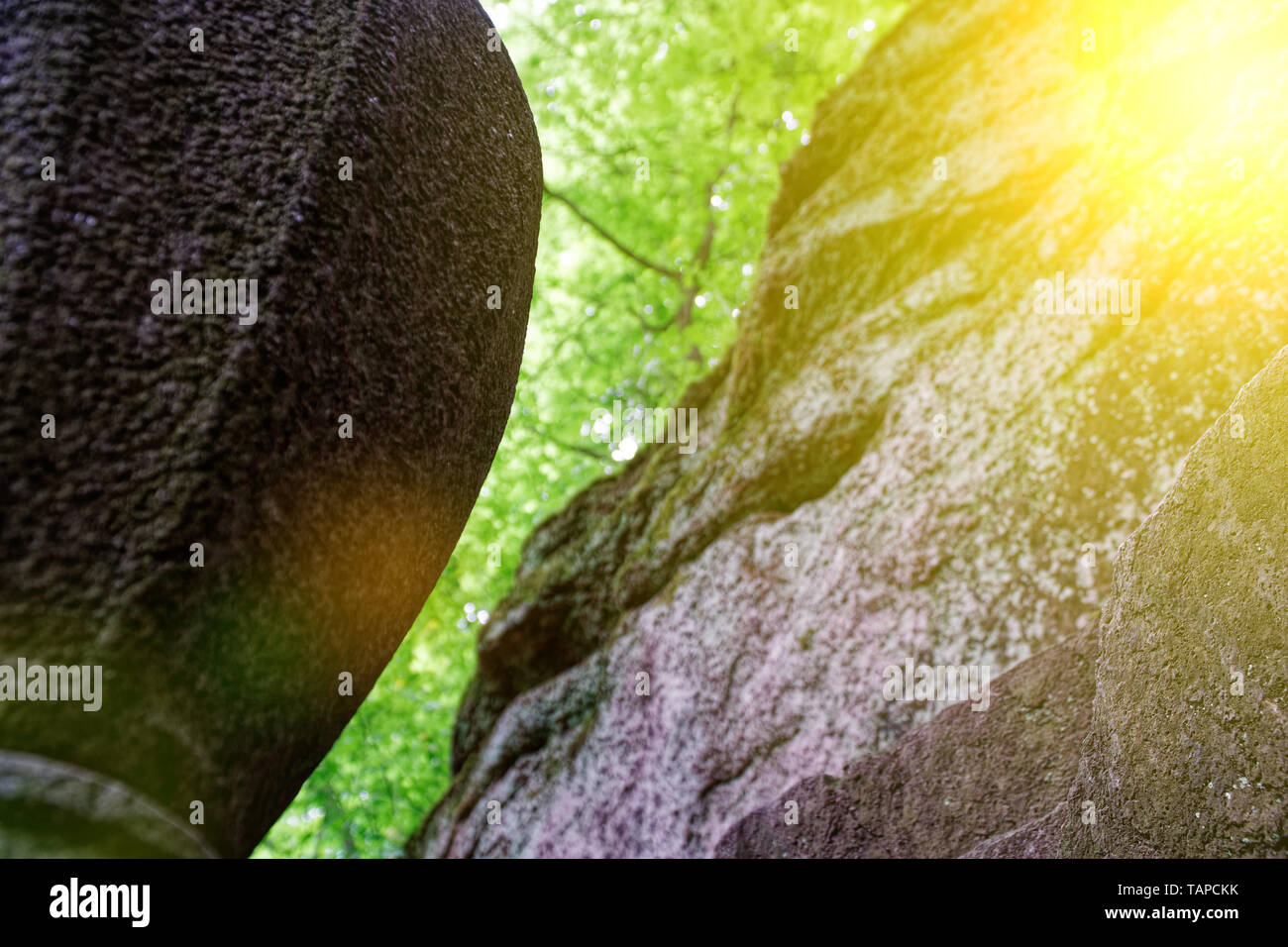Botanical zen stone garden with water drops and rocks Stock Photo - Alamy