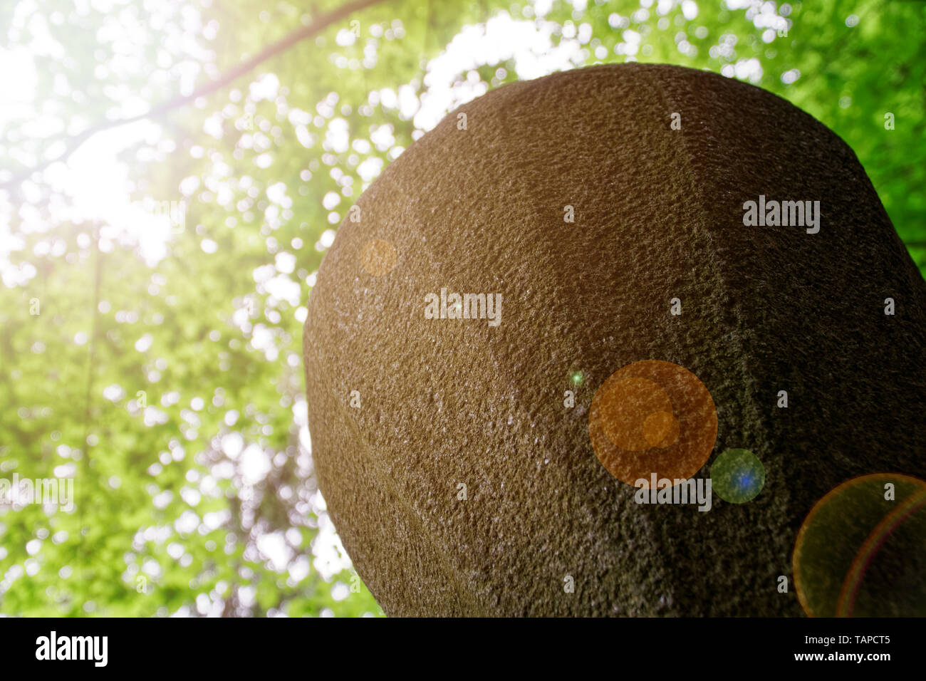 Botanical zen stone garden with water drops and rocks Stock Photo - Alamy
