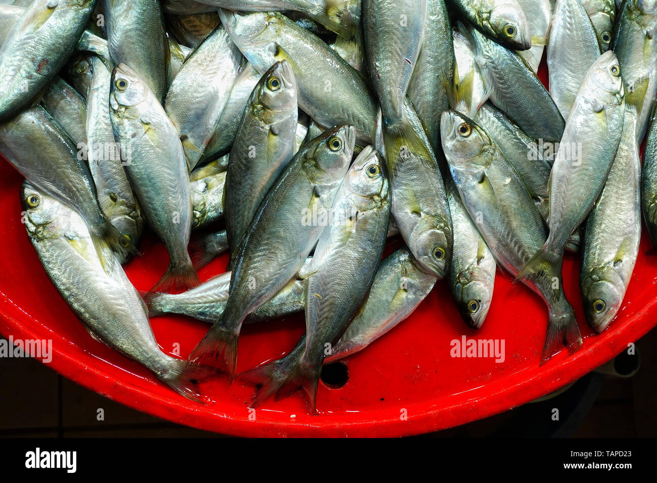 Raw Fish Food in a Fish Market Stand Stock Photo - Alamy