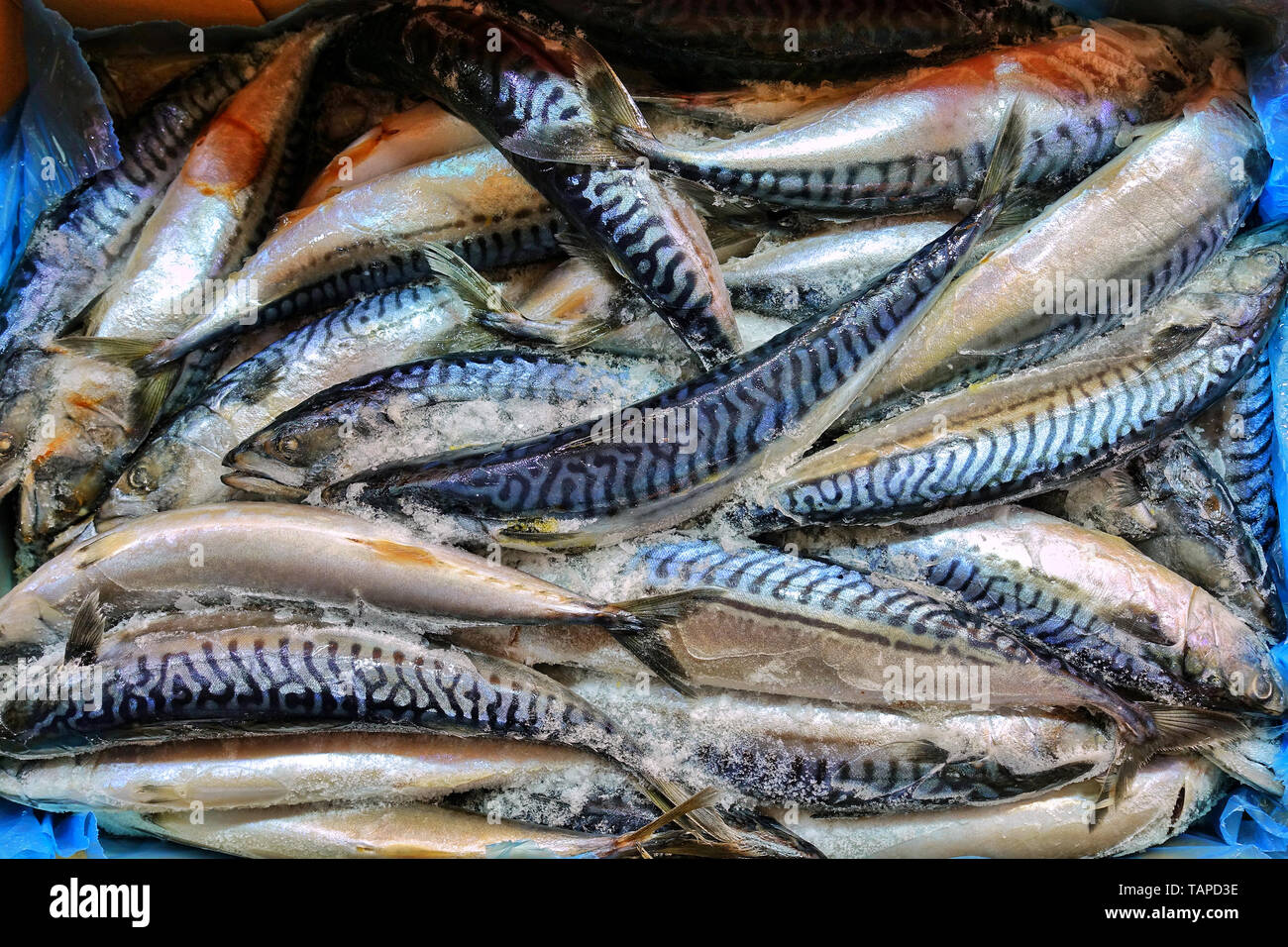 Raw Fish Food in a Fish Market Stand Stock Photo - Alamy