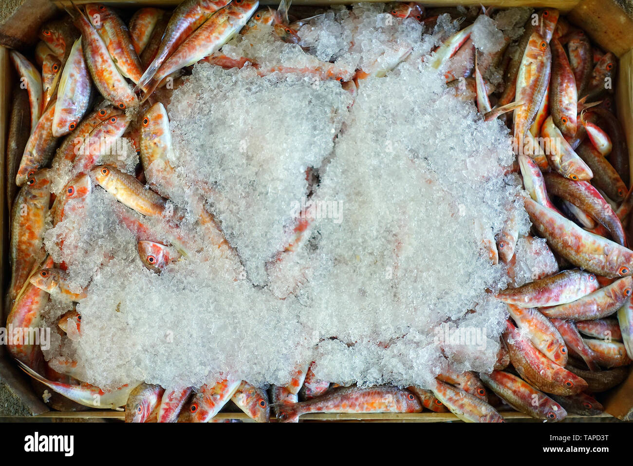 Raw Fish Food in a Fish Market Stand Stock Photo - Alamy
