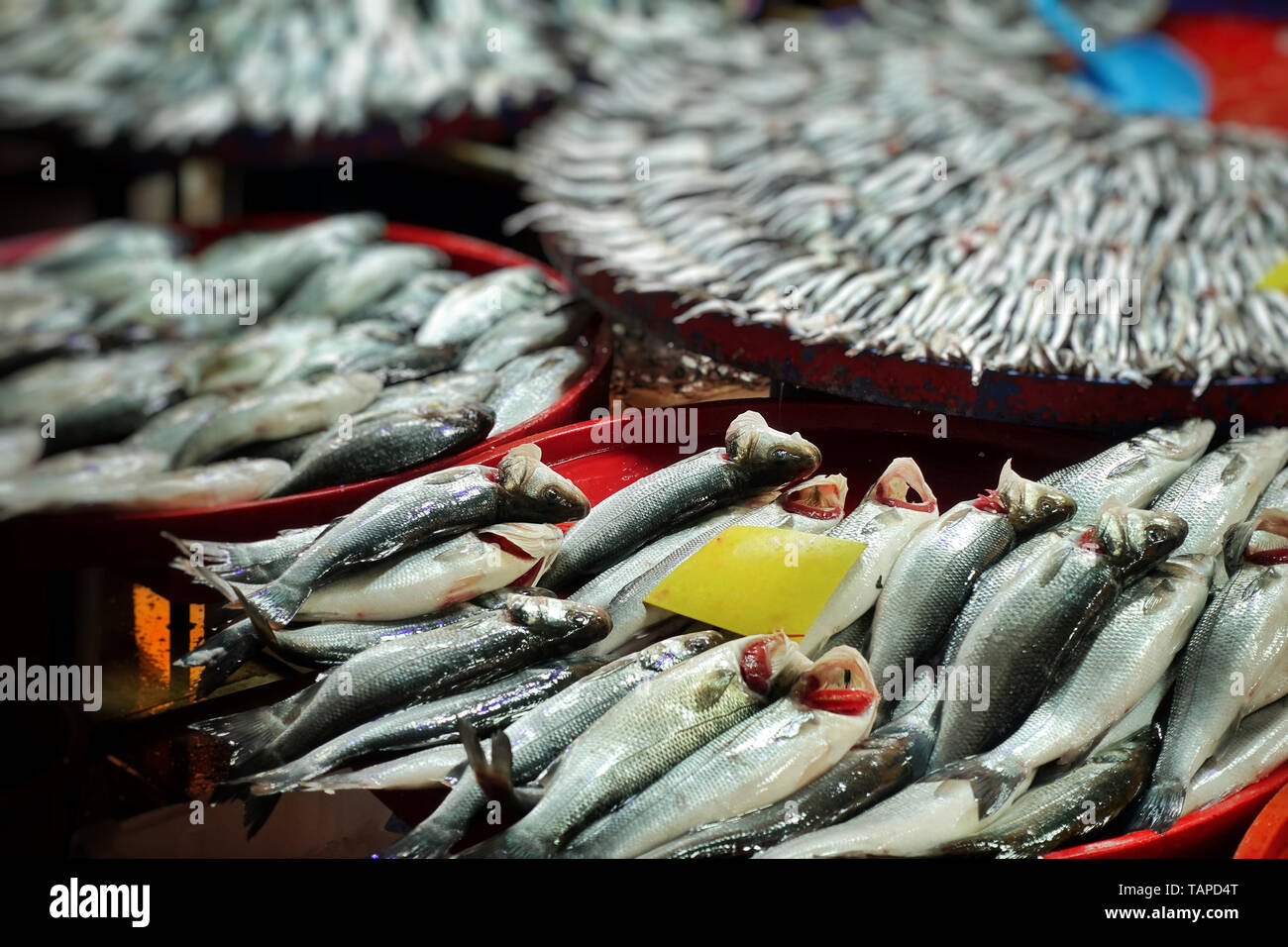 Raw Fish Food in a Fish Market Stand Stock Photo - Alamy