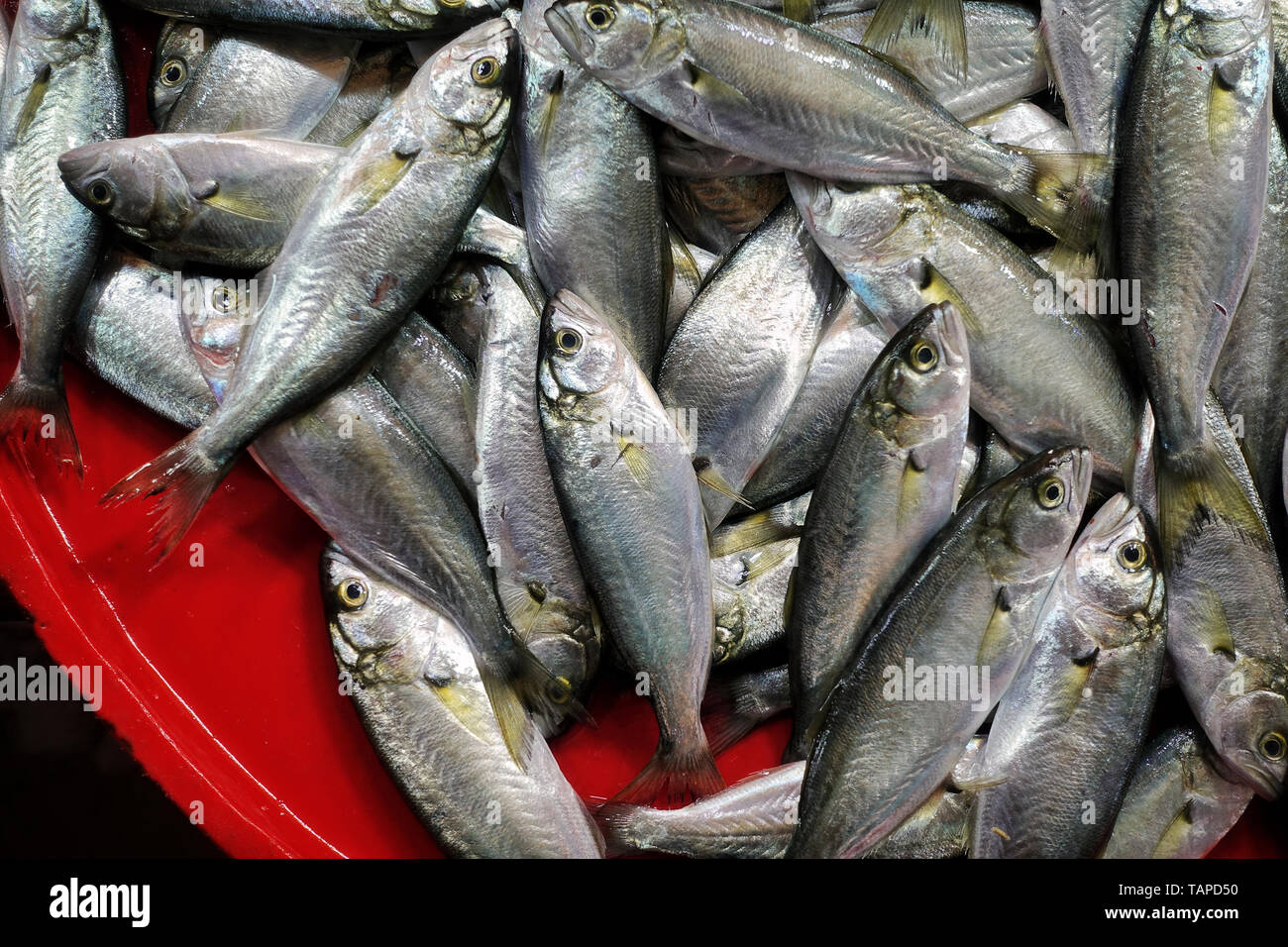 Raw Fish Food in a Fish Market Stand Stock Photo - Alamy