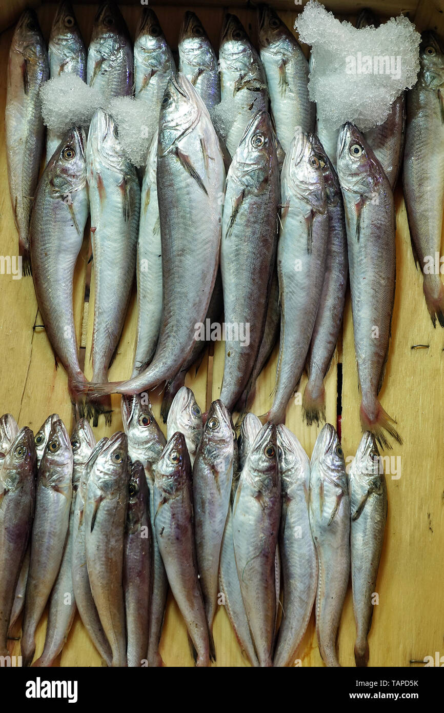 Raw Fish Food in a Fish Market Stand Stock Photo - Alamy