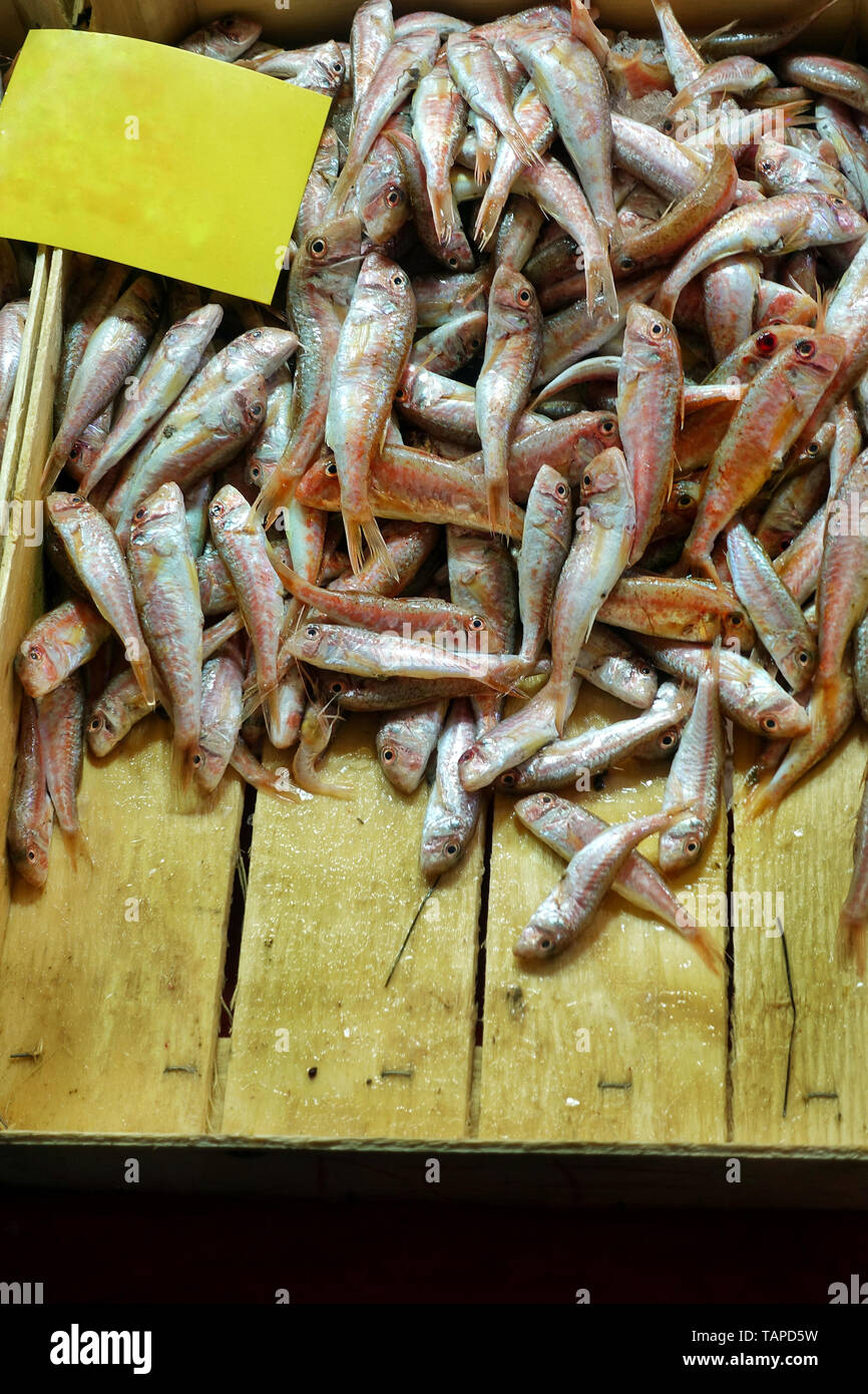 Raw Fish Food in a Fish Market Stand Stock Photo - Alamy