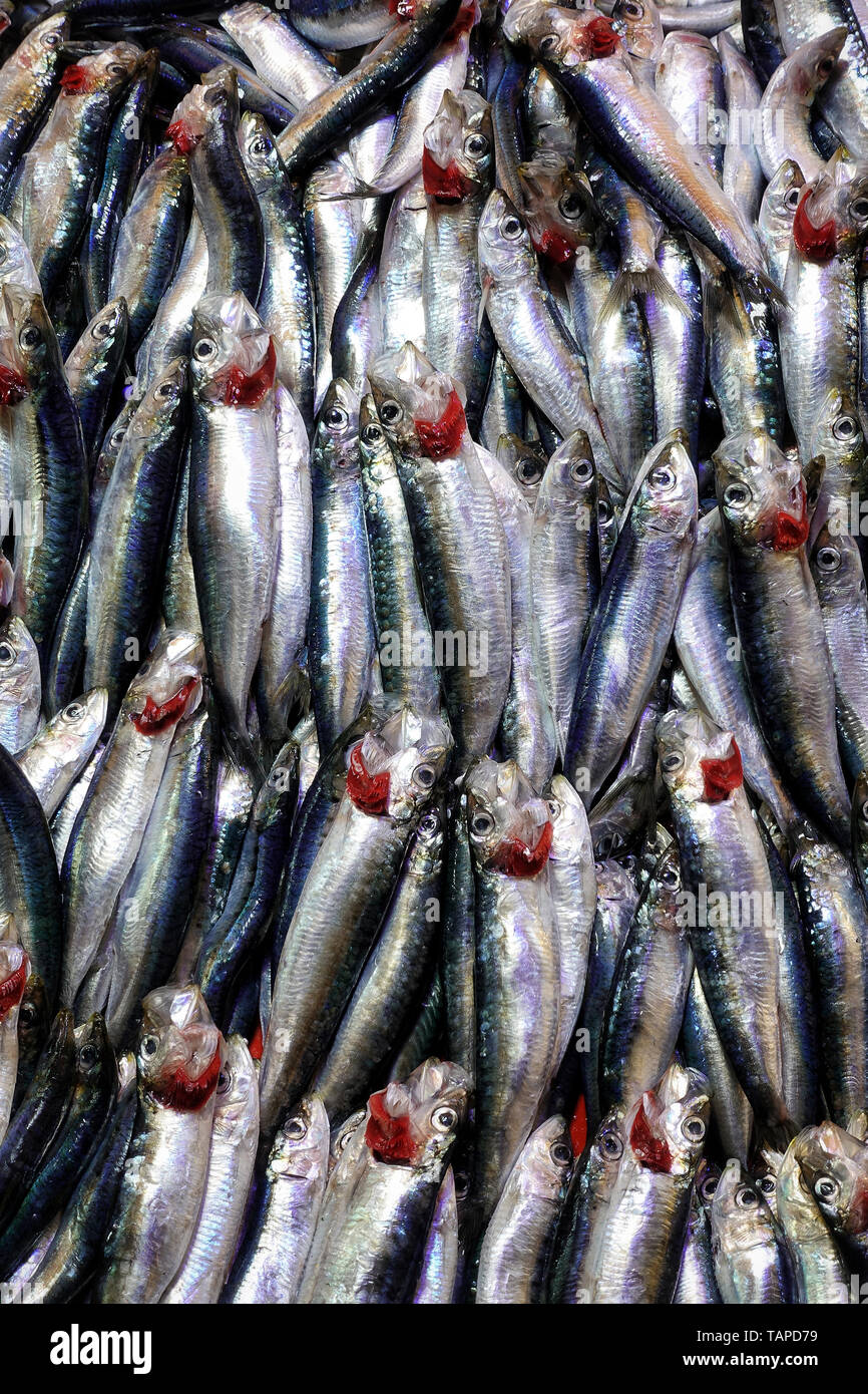 Raw Fish Food in a Fish Market Stand Stock Photo - Alamy