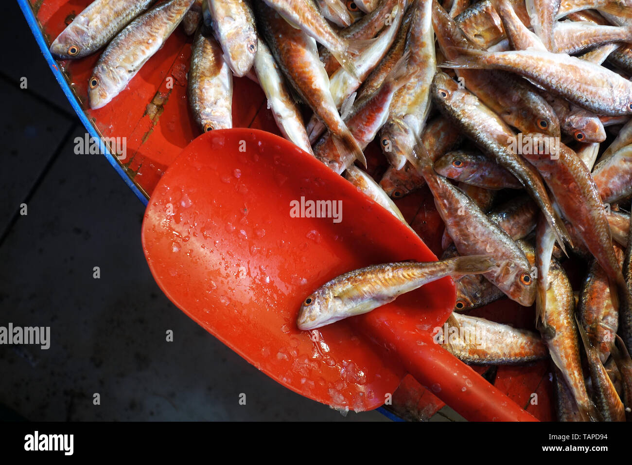 Raw Fish Food in a Fish Market Stand Stock Photo - Alamy